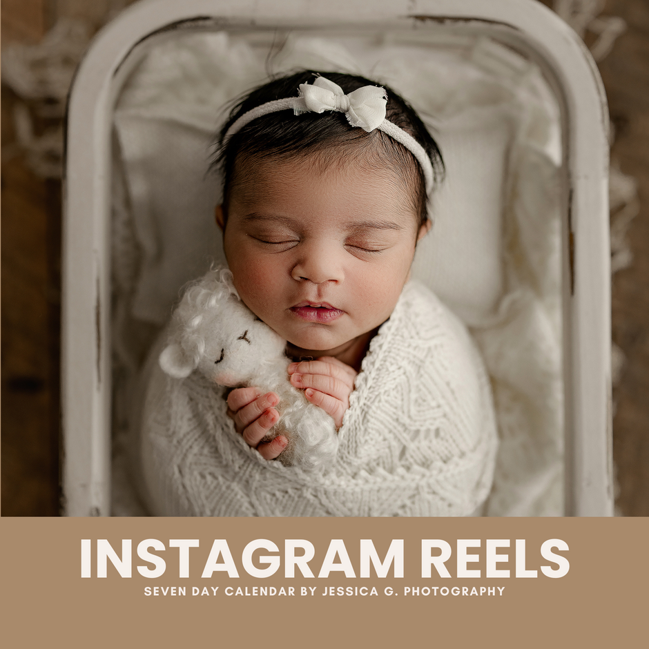 FREEBIES + DIGITALS – Little Fox & Co. Props